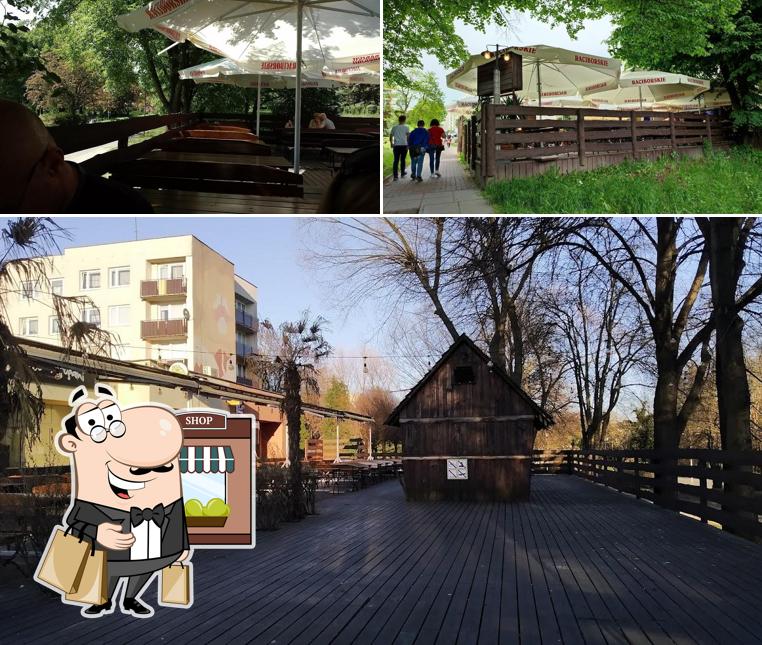 "Pod Papugami", Częstochowa - Restaurant menu, prices and reviews