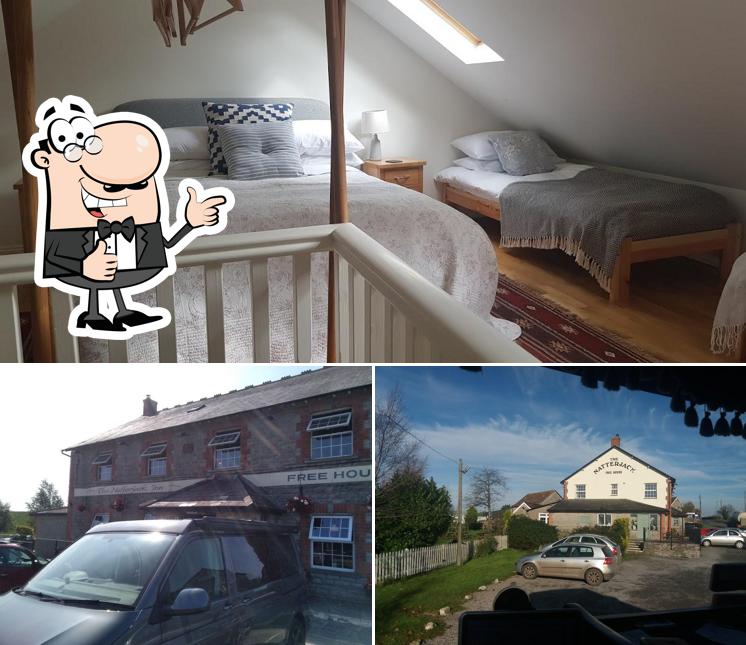 The Natterjack Inn in Evercreech - Restaurant reviews