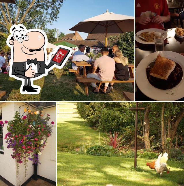 The Old Bush, Worcester - Restaurant menu, prices and reviews