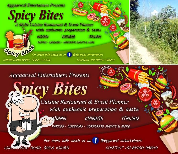 Spicy Bites, India, Chandigarh road - Restaurant reviews