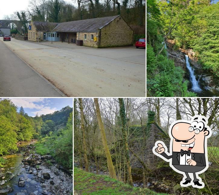 The Falls Bar & Kitchen, Ingleton - Restaurant menu, prices and reviews