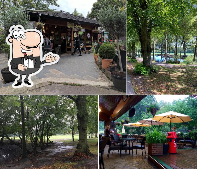 Trent Park Cafe, Barnet - Menú del restaurante, precios y reseñas