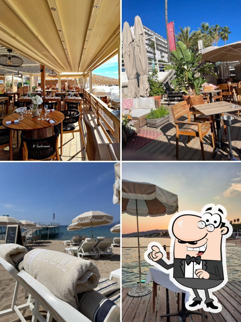 Le Bénitier Cannes restaurant, Cannes - Restaurant reviews