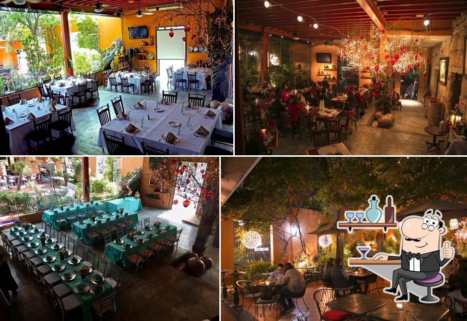 Feelgrow, Monterrey - Menú del restaurante, precios y reseñas