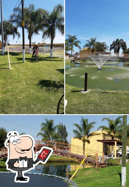 Las Cuatro Milpas restaurant, Mexico, Carretera Loreto - Restaurant reviews