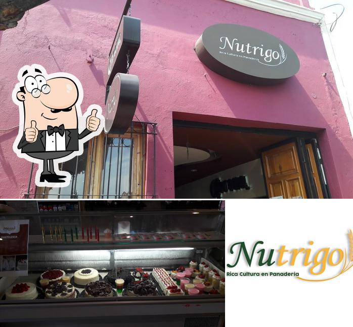 Nutrigo Panadería, Santiago de Querétaro, C. Independencia 111 ...