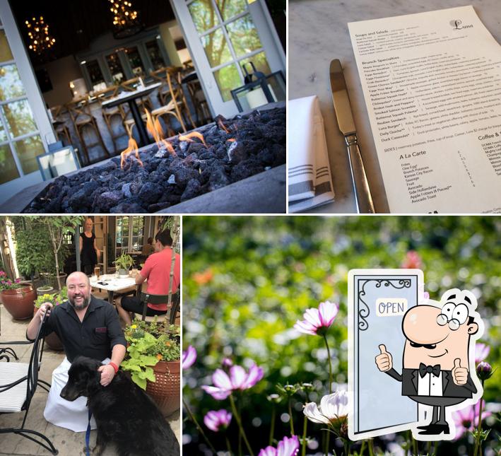 Luna in Spokane - Restaurant menu and reviews