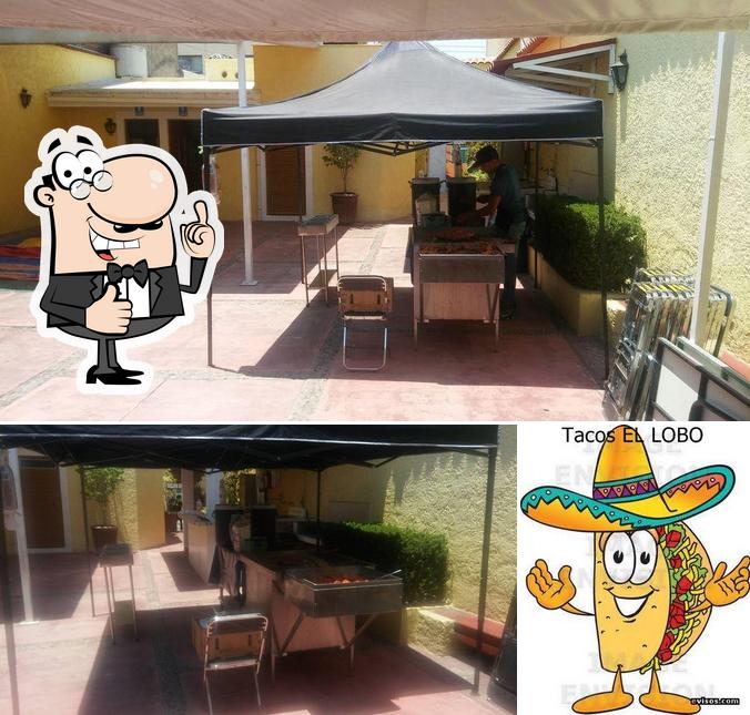 Tacos "El Lobo", Guadalajara - Restaurant menu, prices and reviews