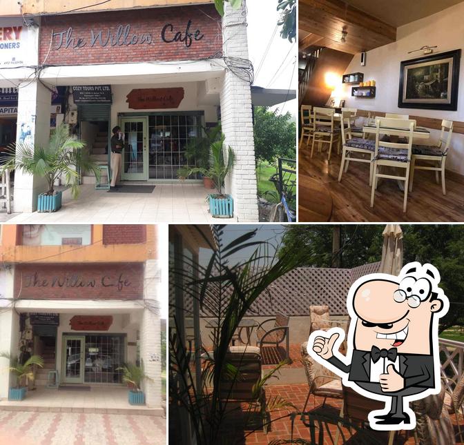 The Willow Cafe, Chandigarh, Shop No - Restaurant menu and reviews