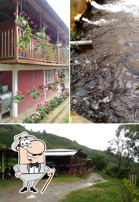 Pisciculture Farm Villa Trucha restaurant, Colombia - Restaurant reviews