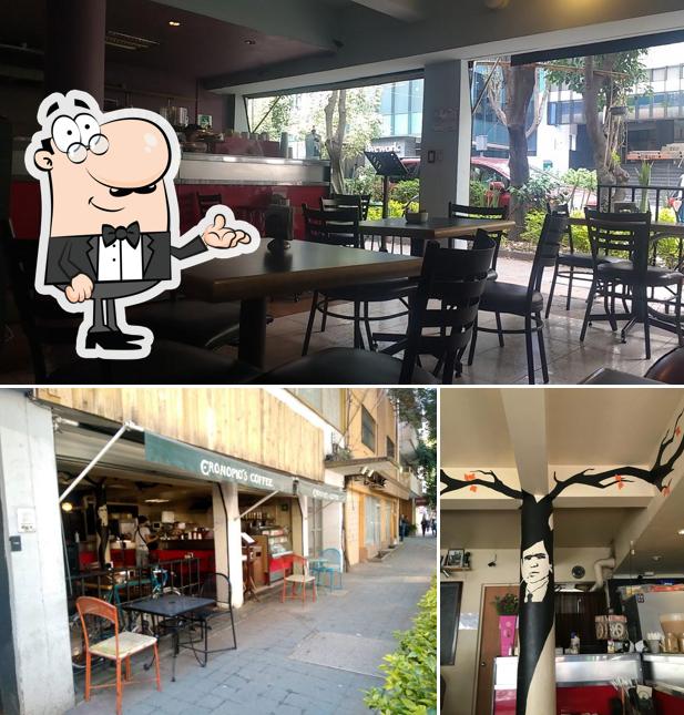 Cronopio´s Coffee cafe, Mexico City - Restaurant reviews
