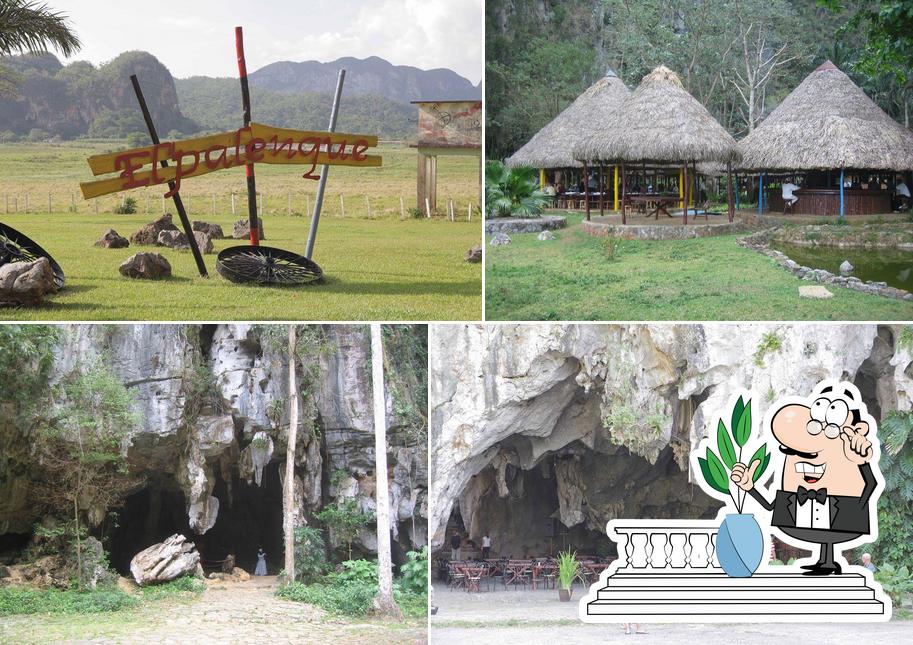 Palenque de los Cimarrones pub & bar, Vinales - Restaurant reviews