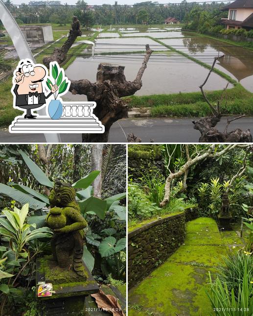 akamana coffee, Ubud - Restaurant menu, prices and reviews
