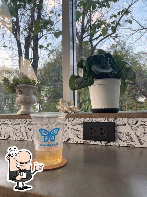 THAI OG CAFE, Bangkok - Restaurant reviews