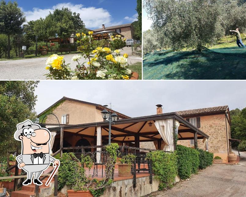 Agriturismo Torre Burchio - Speisekarte, Preise und Bewertungen