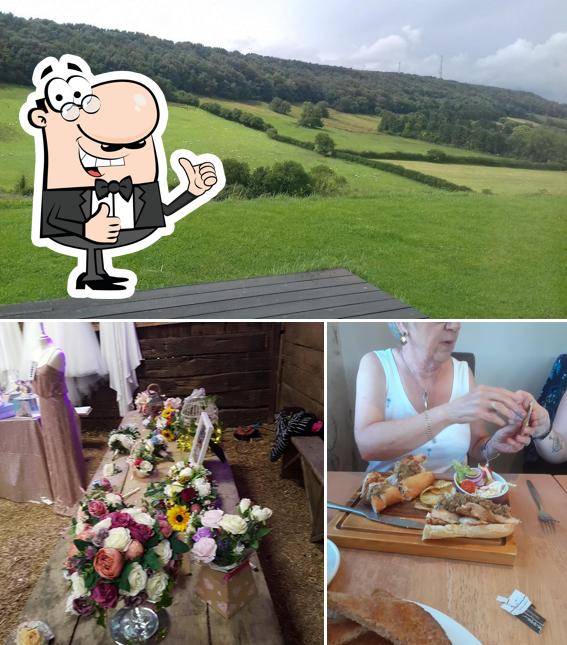 Stepney Hill Farm in Scarborough - Restaurant reviews
