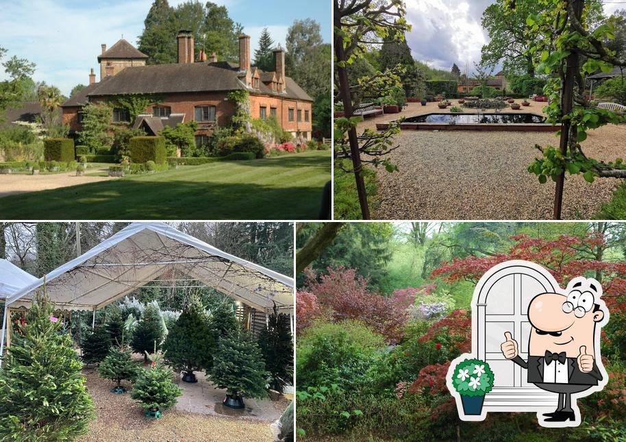 Restaurante Ramster Gardens, Chiddingfold - Opiniones del restaurante