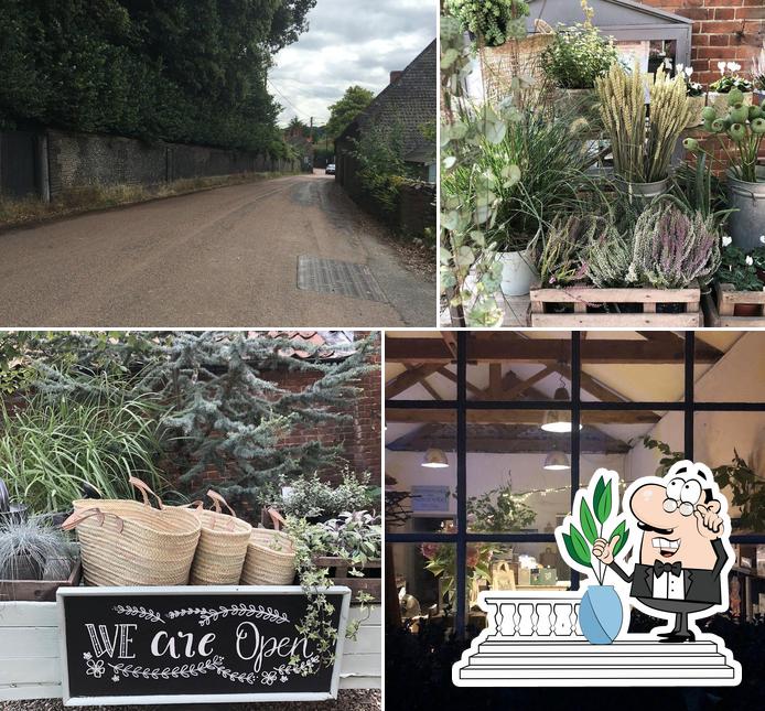 Stiffkey Stores in Stiffkey - Restaurant reviews