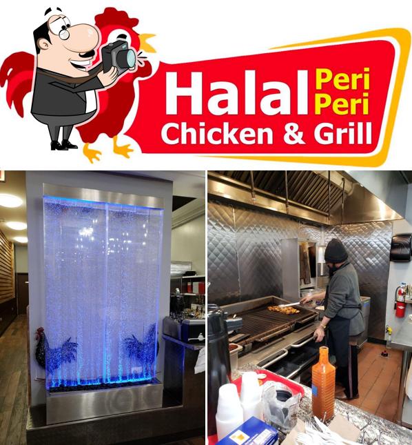 Halal Peri Peri Chicken, Chicago - Restaurant menu, prices and reviews