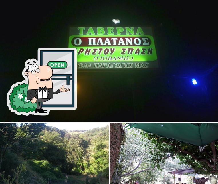 ΠΛΑΤΑΝΟΣ ΤΑΒΕΡΝΑ, Paradisi - Restaurant reviews