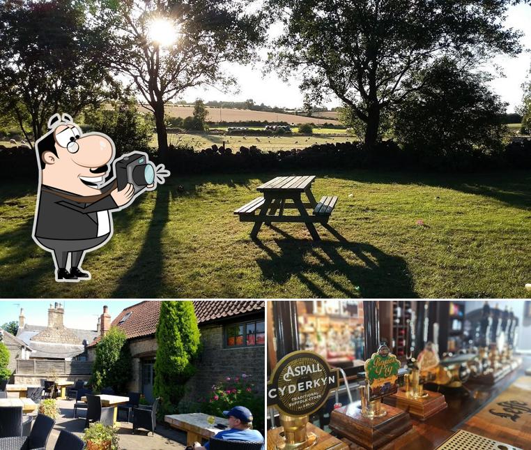 Elm Tree Pub in Bolsover - Restaurant reviews