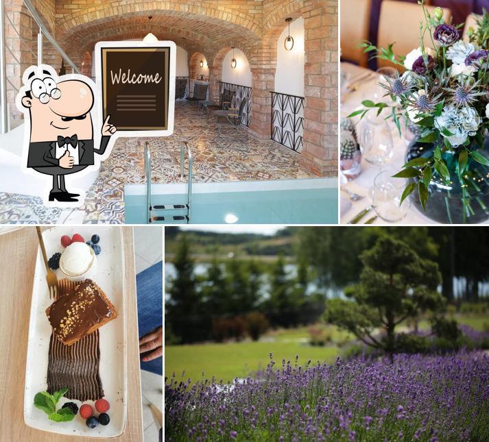 Lavender Inn restaurant, Viešvėnai I - Restaurant reviews