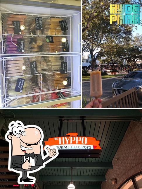 The Hyppo Gourmet Ice Pops in Tampa - Restaurant reviews
