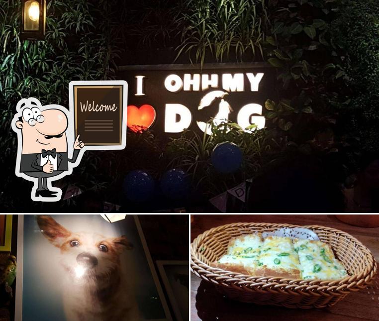 Ohh My Dog Pefe, Mumbai - Restaurant menu, prices and reviews