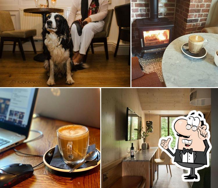 The Lost Boy in Farnham - Restaurant reviews