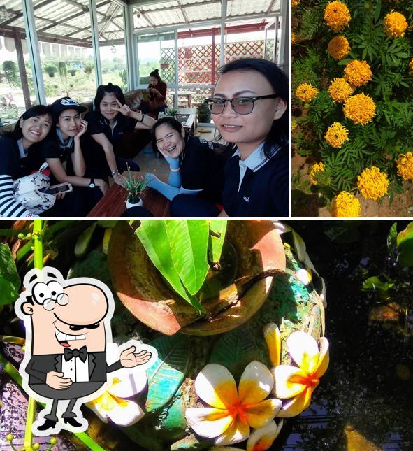 ร้านกาแฟ The Zap Cafe' Coffee, Nong Ya Plong, 7RVX+FQJ - Opiniones del ...