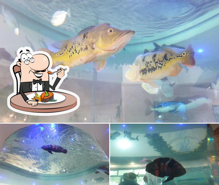 Atlantis Lounge Bar, Adelaide - Restaurant menu, prices and reviews