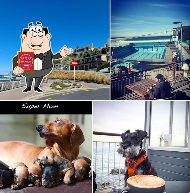 Long Dog Cafe, Dunedin - Restaurant menu, prices and reviews