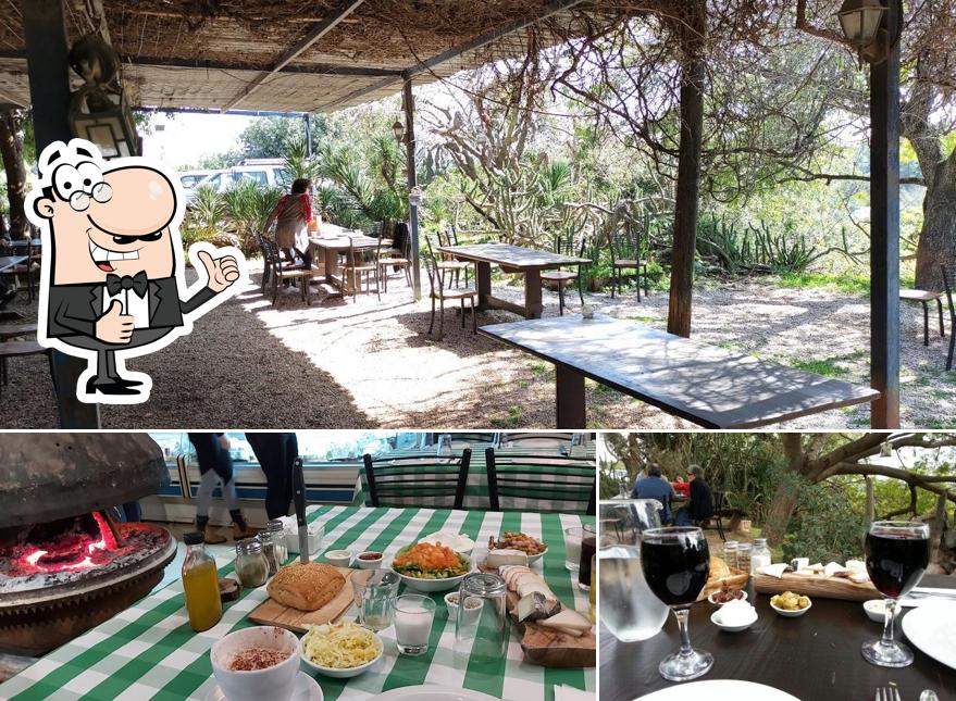 עין כמונים - Ein Camonim restaurant, Merom HaGalil Regional Council ...