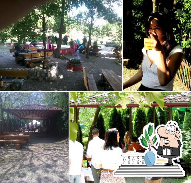 Restoran Ribnjak Točak, Prijedor - Restaurant menu, prices and reviews