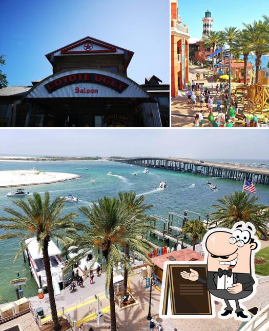 Jester Mardi Gras Daiquiris, Destin - Restaurant menu, prices and reviews