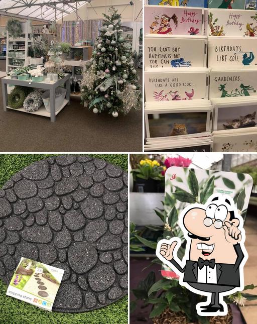 California Lodge Garden Centre, Howden - Restaurant menu, prices and ...