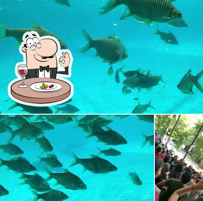 Zoom zoom restaurant, Bang Phra - Restaurant reviews