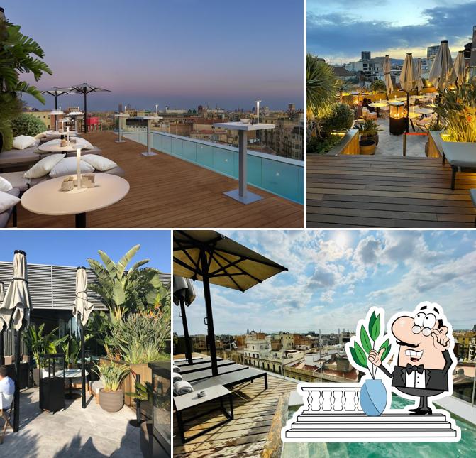 Mood Rooftop Bar in Barcelona - Restaurant menu and reviews