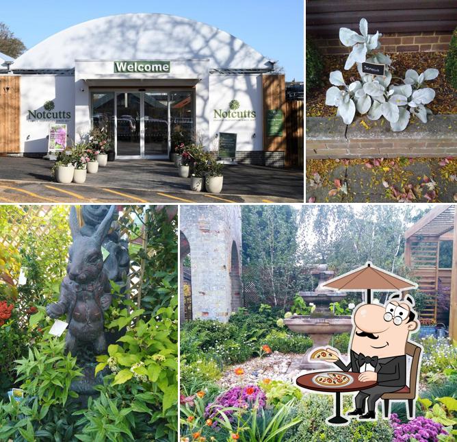 Notcutts Woodbridge, Woodbridge - Restaurant menu, prices and reviews