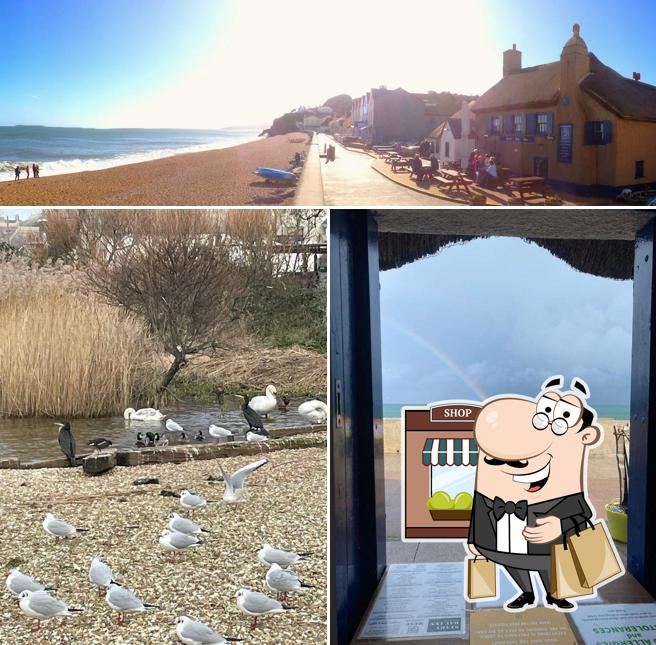 The Start Bay Inn in Stokenham - Restaurant reviews
