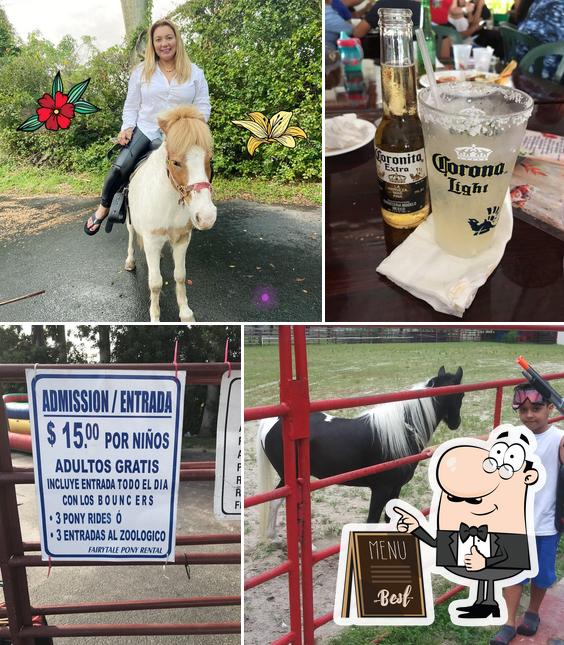 Club Rancho Gaspar, Hialeah - Menú del restaurante, precios y reseñas