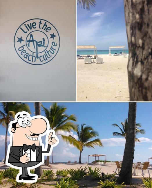 Pub y bar Api Beach, Punta Cana, Playa Marina Cap Cana - Opiniones del ...