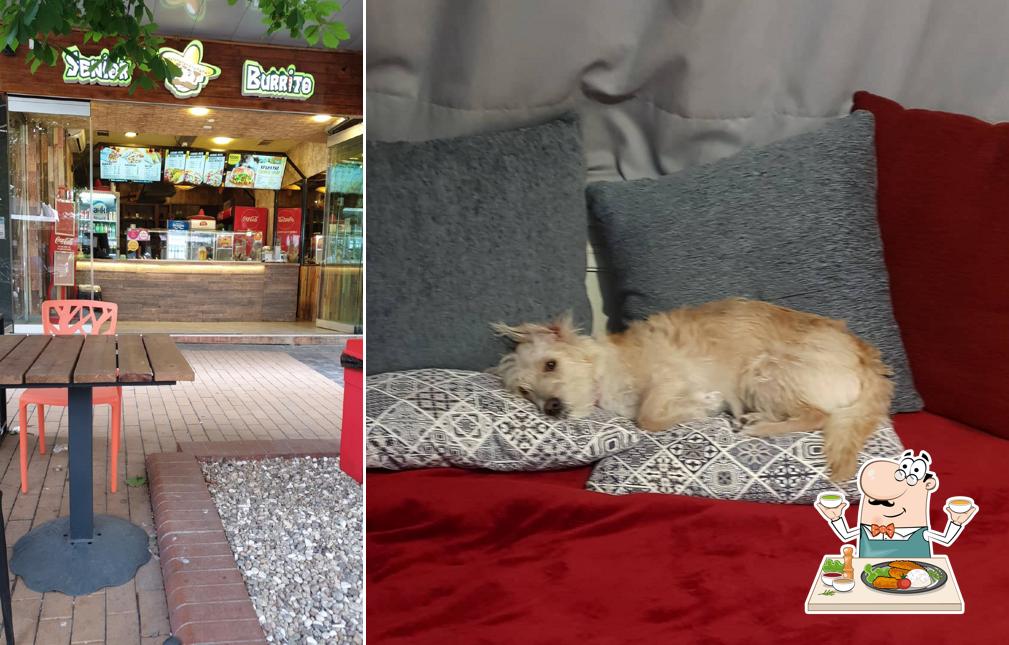 Senior burrito restaurant, Sofia, Vitosha Blvd 59 - Restaurant reviews