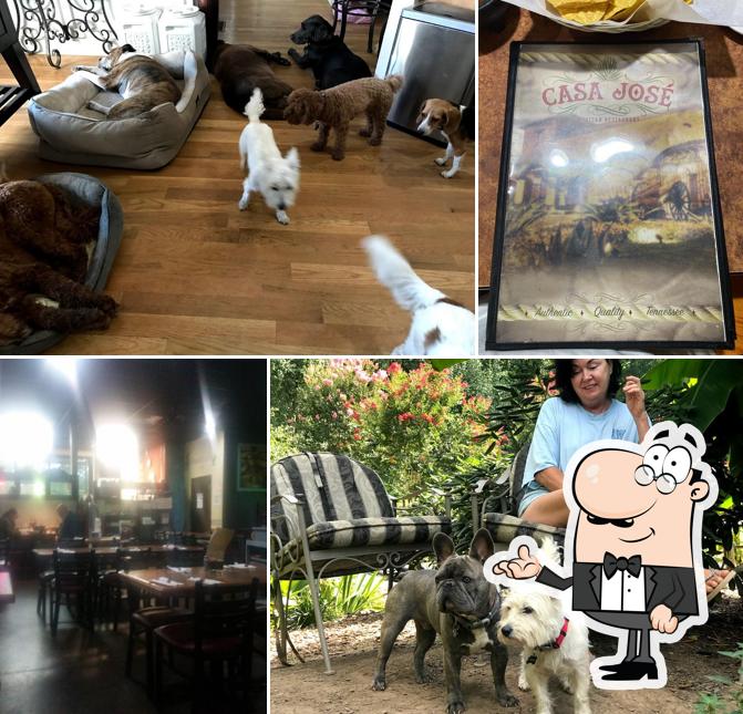 Casa Jose, 3046 Columbia Ave #110 in Franklin - Restaurant menu and reviews