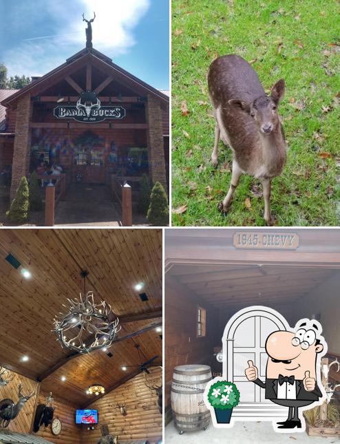 Bama Bucks in Sardis City - Restaurant menu and reviews