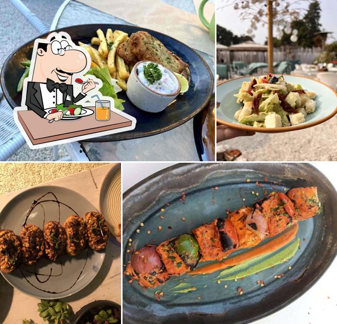 The Big Tree Cafe, Gurugram - Restaurant menu and reviews