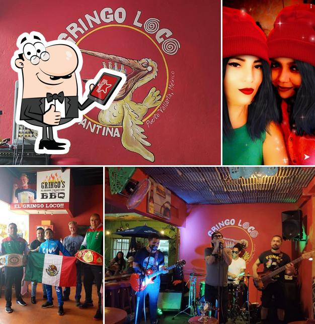 Gringo Loco Cantina, Puerto Vallarta - Restaurant menu, prices and reviews