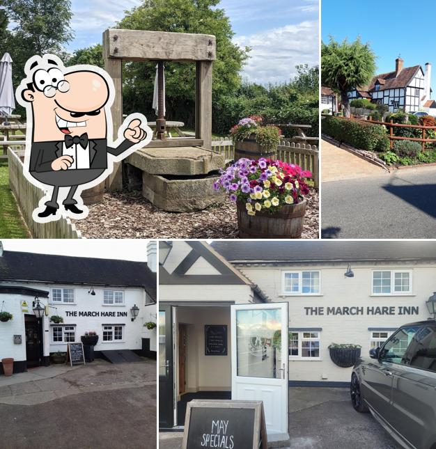The March Hare Inn in Worcester - Restaurant reviews