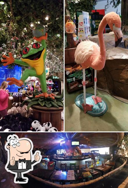 Rainforest Cafe in Grapevine - Restaurant menu and reviews