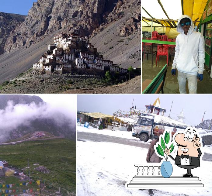 Top 3 restaurants in Marhi, Himachal Pradesh, may 2025 - Restaurant Guru